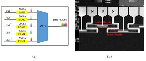 A Schematic Diagram Of The Chip Layout B Top View Of