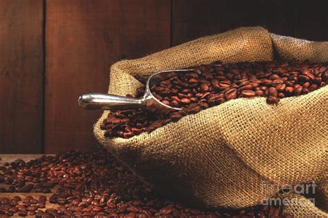 How Did I Refresh Seaborn Graph Adding Or Removing New Layers Without