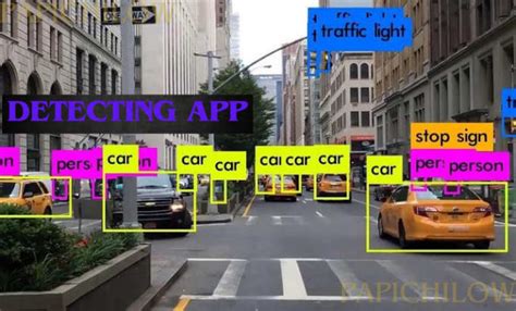 Make Face Recognition Yolo Detect Objection Ai App By Owotomcuh Fiverr