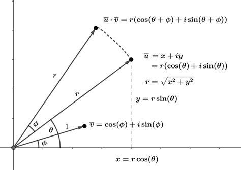 Description Of Rotation On A Plane The Vector U Is Rotated By The Download Scientific Diagram