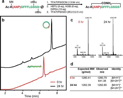 Peptide Macrocyclization To Generate Photocleavable Inks A Synthetic Download Scientific