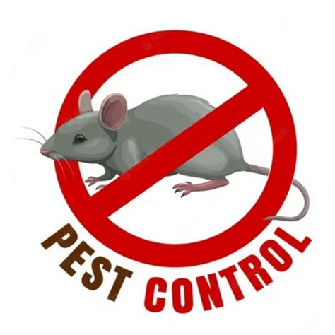 Rodent Pest Control Services In Bengaluru Id 2853087944155