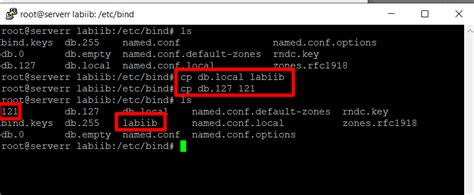 Konfigurasi Dns Pada Pnetlab