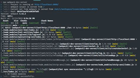 Webpack Dev Server Invalid Options Issue Webpack Webpack Js Org GitHub