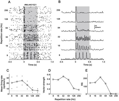 A Raster Plots Of Neural Spikes In Response To Repetitions Of Download Scientific Diagram
