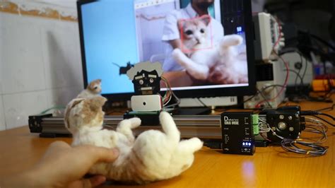 Ethernet How To Interconnect Multiple Arduinos With A Rpi To Control