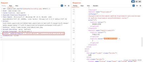 代码审计zzcms前台sql注入 Csdn博客
