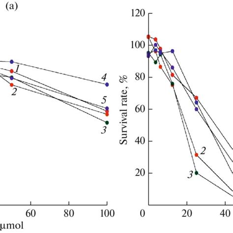 Cytostatic Effect Of Diadinoxanthin A And Fucoxanthin B On Cell Download Scientific Diagram