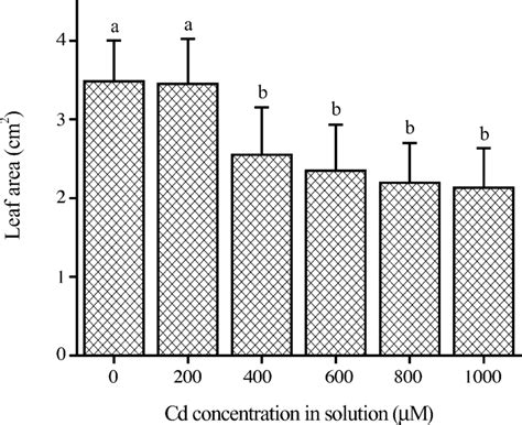 Leaf Area Of Sedum Alfredii Hance After Exposed To Various Cd
