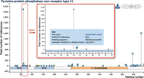 Visualizing Ptm Sites In Lollipop Plots The Lollipop Plot Illustrates