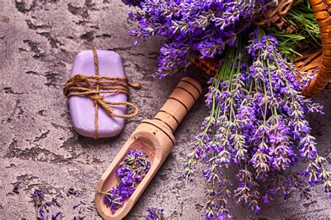 회색 콘크리트 배경에 바구니와 향기로운 비누에 라벤더 꽃 맨 위 보기입니다 0명에 대한 스톡 사진 및 기타 이미지 0명 건조한 고리 세공 Istock