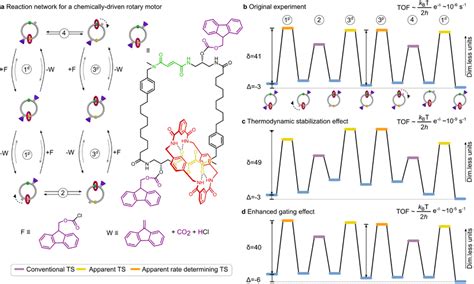 Insights On An Artificial Fuel Driven Rotary Motor A Reaction Download Scientific Diagram