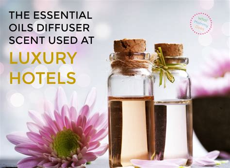 How To Make Your House Smell Like A Spa