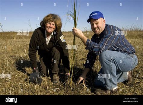 A Man And Woman Are Shown Planting A Tree Together Working To Restore And Re Establish A