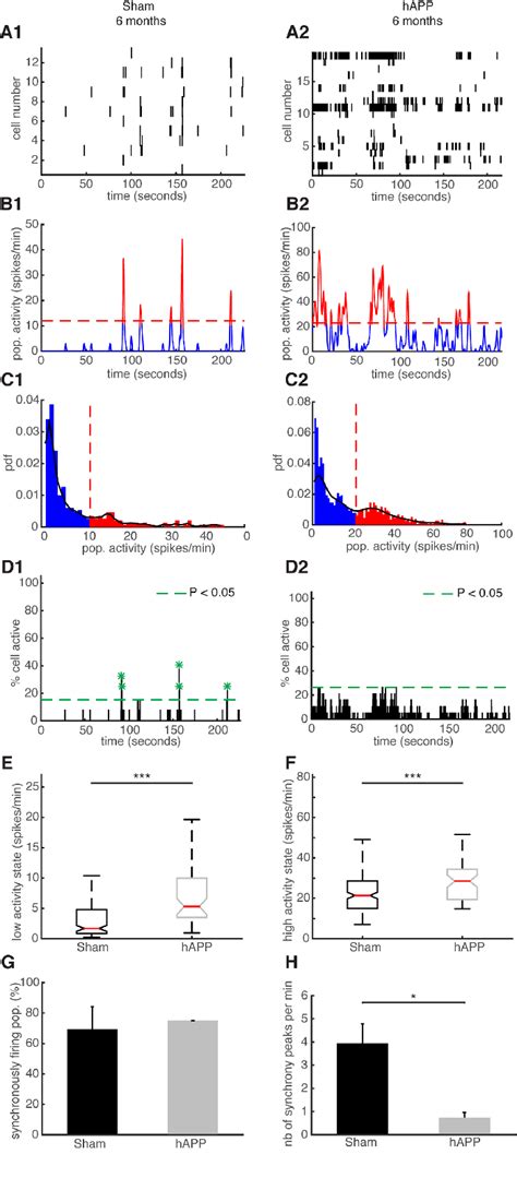 Neuronal Synchronicity Is Disrupted In The Pfc Of Happ Mice 6 Mpi A Download Scientific