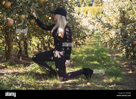 Inspecting Tree Hi Res Stock Photography And Images Alamy