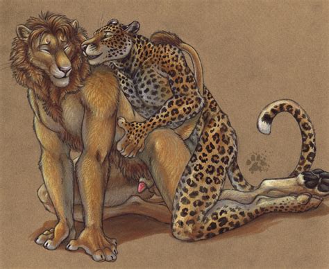 Rule 34 2009 Anal Anal Sex Anthro Balls Barbs Blotch Cone Penis Doggy