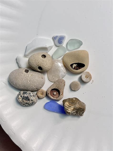 Crinoid Fossils Come In So Many Forms R Beachcombing