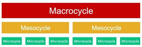Periodization Training Maximizing Your Bodybuilding Results Fitness Volt