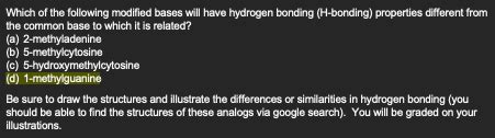 Solved Which Of The Following Modified Bases Will Have Chegg