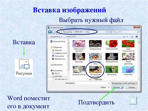 Как скопировать текст из рисунка в Word
