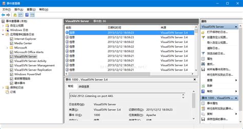 Visual Svn Server Provider Failed To Perform The Attempted Operation 0x80041024 After Win7