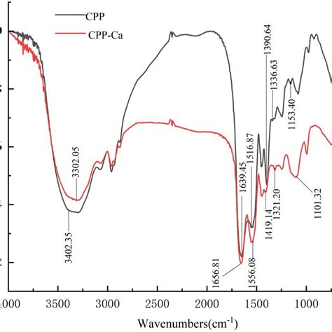 Infrared Spectra Of Cpp And Cppca The Spectrograms Were Scanned Under