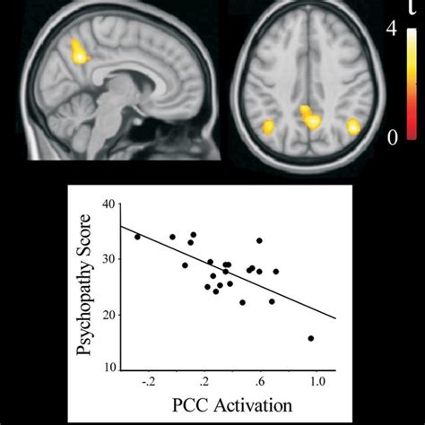Fmri Patterns Of Brain Activation During The Moral Dilemma Task