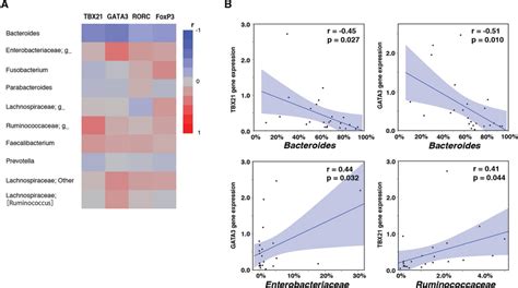 Correlation Between The Expression Of Th Treg Related Genes And Download Scientific Diagram
