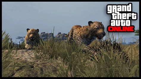Gta 5 Mods Animal Mod Online Play As Animals In Gta 5 Online Gta