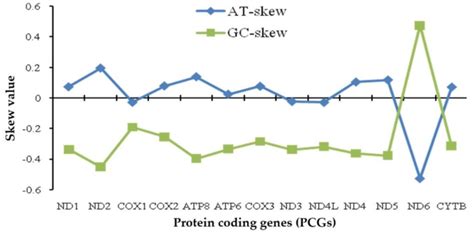 Graphical Presentation Of At And Gc Skew Of 13 Pcgs Of Cirrhinus Reba Download Scientific Diagram