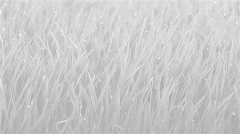 배경에 대한 무성한 녹색 잔디 질감 잔디 질감 잔디 바닥 녹색 풀 Png 일러스트 및 이미지 에 대한 무료 다운로드 Pngtree