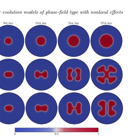 Evolution Of The Tumor Mass Under The Influence Of The Extracellular Download Scientific
