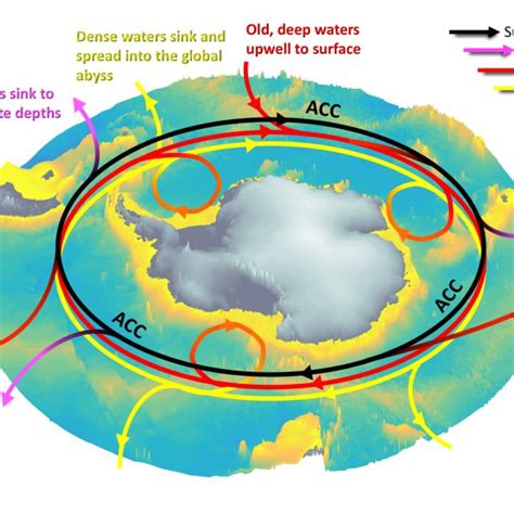 schematic of the three dimensional circulation of the southern ocean