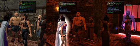 A Dance With Rogues The Promiscuous Paladin Build Guide Adult Gaming Loverslab