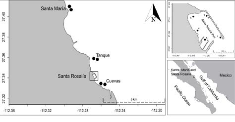 Figure 1 From Response Of Benthic Diatom Assemblages To Contamination By Metals In A Marine