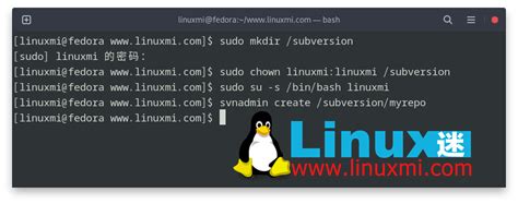 在 Linux 服务器上使用 Subversion 版本控制系统 Linux迷