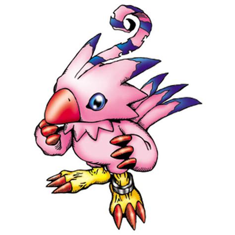 Digimon Birdramon Evolution