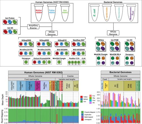 Nebnext Ultra Ii Dna Library Prep Kit For Illumina New England Biolabs Bioz