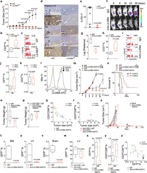 Inhibition Of Lilrb4 Reduces Leukaemia Development In Humanized Download Scientific Diagram