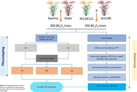 31 Facts About Qtl Mapping