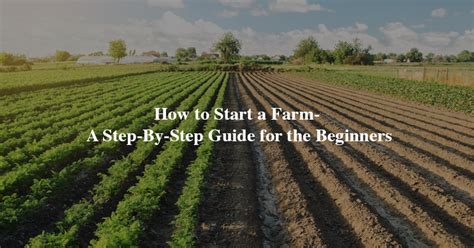 How to Start a Farm: A Step-By-Step Guide for the Beginners