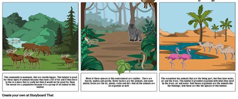 Science Storyboard Storyboard By B Science Storyboard Storyboard By B