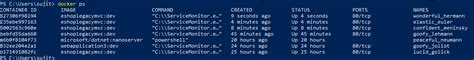 containers why different instances of docker image running on same