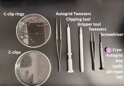 Clipping — Rna Cryoem Protocols