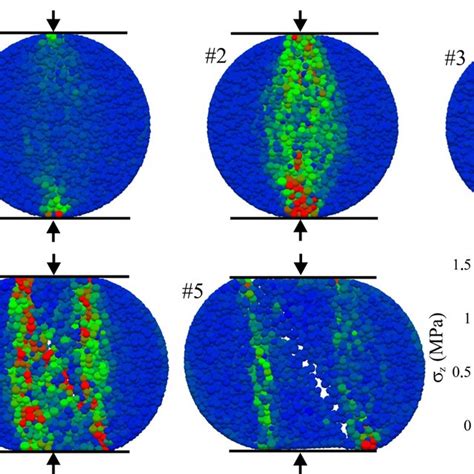 Visualization Of The Evolution Of The Contact Force Chains During The Download Scientific