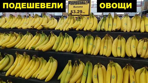 ПОДЕШЕВЕЛИ ОВОЩИ У НАС И В УКРАИНЕ - YouTube