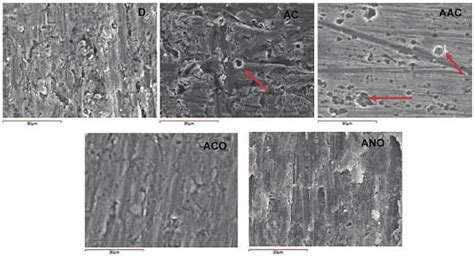 Sem Micrographs Of Aluminium Alloy Samples Surface After The Different