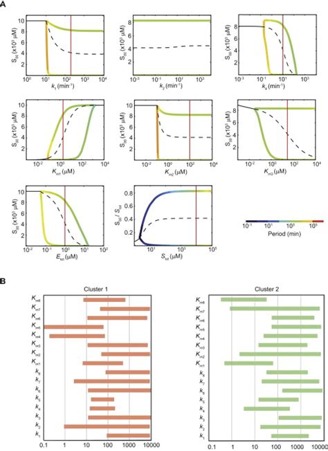 Effects Of Parameter Variation On Oscillatory Behavior Related To