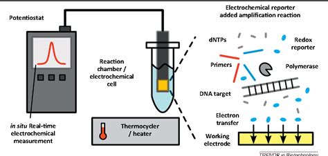 Figure 1 From Electrochemical Real Time Nucleic Acid Amplification Towards Point Of Care